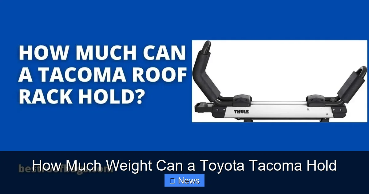 How Much Weight Can a Toyota Tacoma Hold - ToyotaAutoDealer